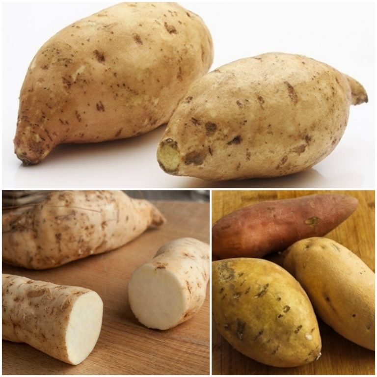 Camote Blanco: Beneficios, Propiedades y Contraindicaciones » Camote